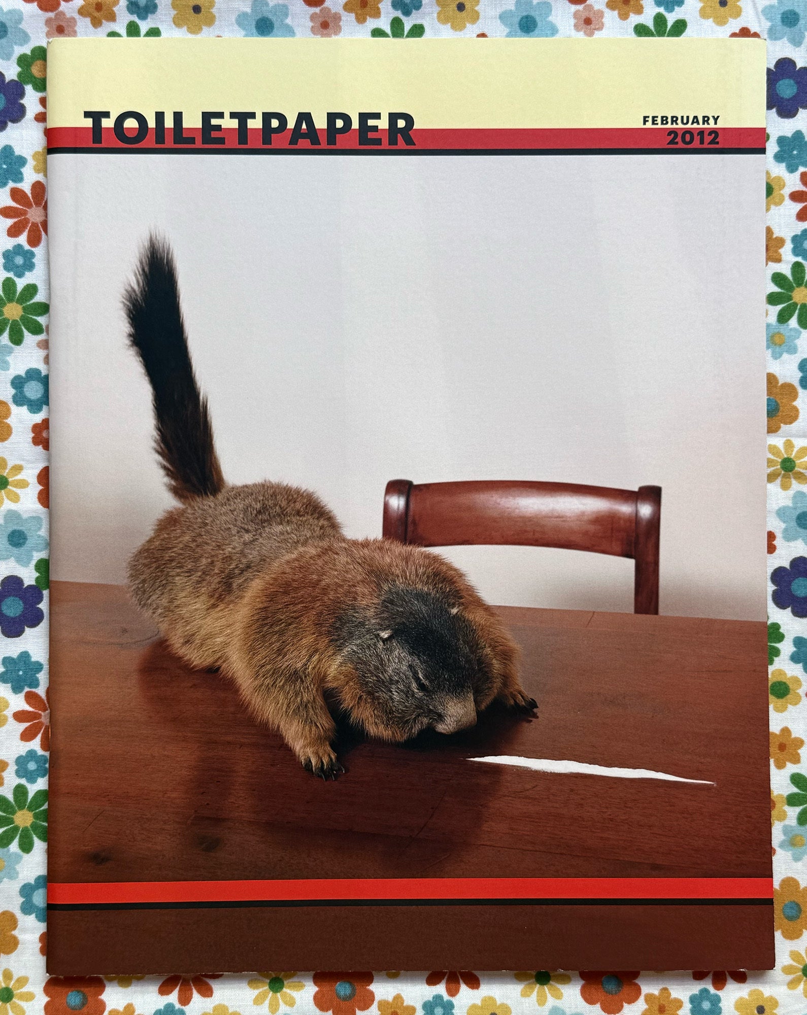 Toilet Paper February 2012 | Maurizio Cattelan, Pierpaolo Ferrari